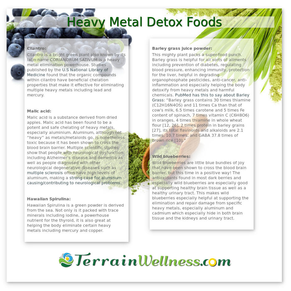 Heavy Metal Detox Foods - Naturopathic Primary Care Doctors Portland Oregon