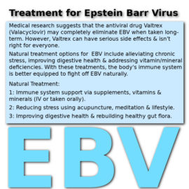 Epstein Barr Virus Treatment - Naturopathic Primary Care Doctors ...
