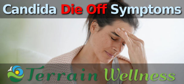 Candida Die Off Symptoms - Naturopathic Primary Care Doctors Portland ...