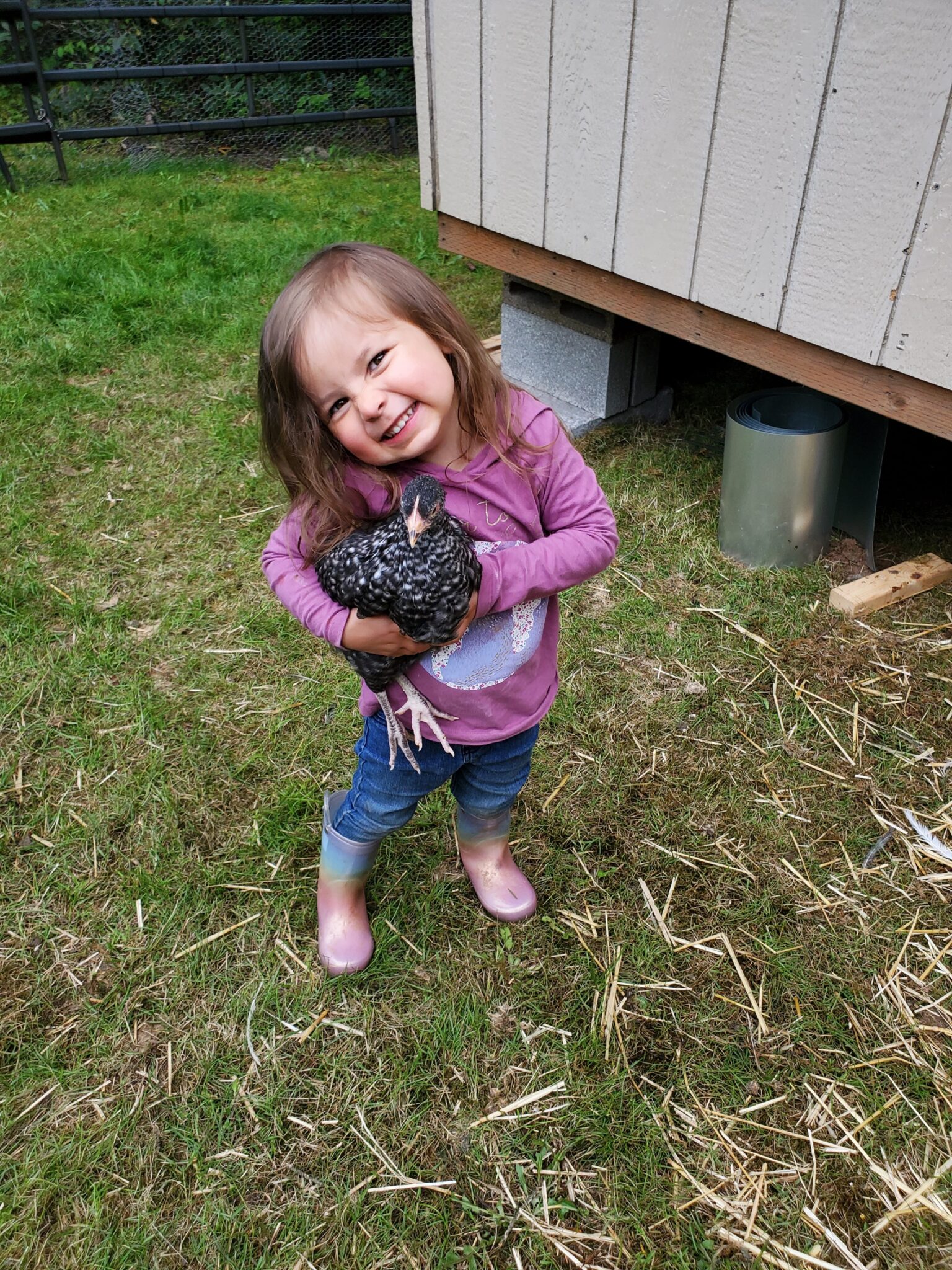 DIY Baby Formula Recipe